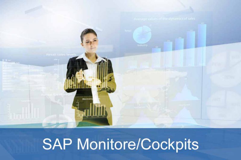 SAP MDE: Mobile Datenerfassung, Scanner, RF-Transaktionen