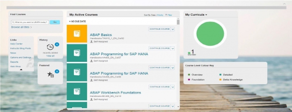 SAP Learning Hub: flexible Schulungsprogramme von SAP