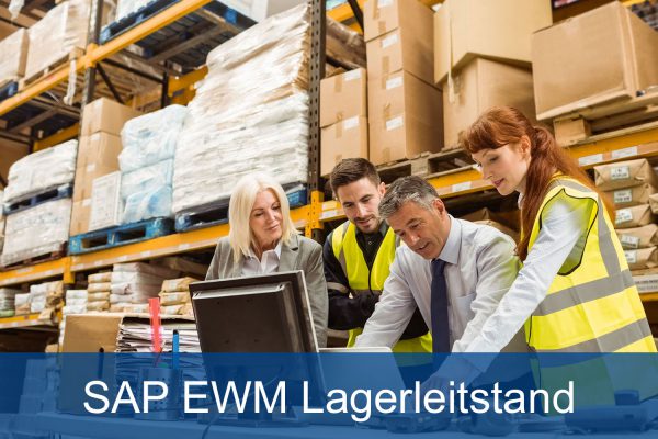 SAP EWM Template: Extended Warehouse Management - SERKEM