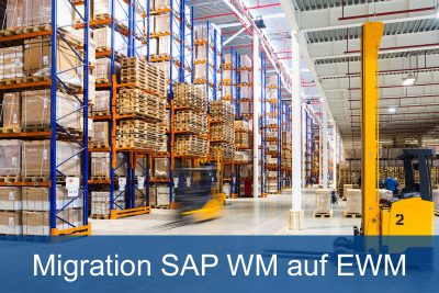 SAP EWM Template: Extended Warehouse Management - SERKEM